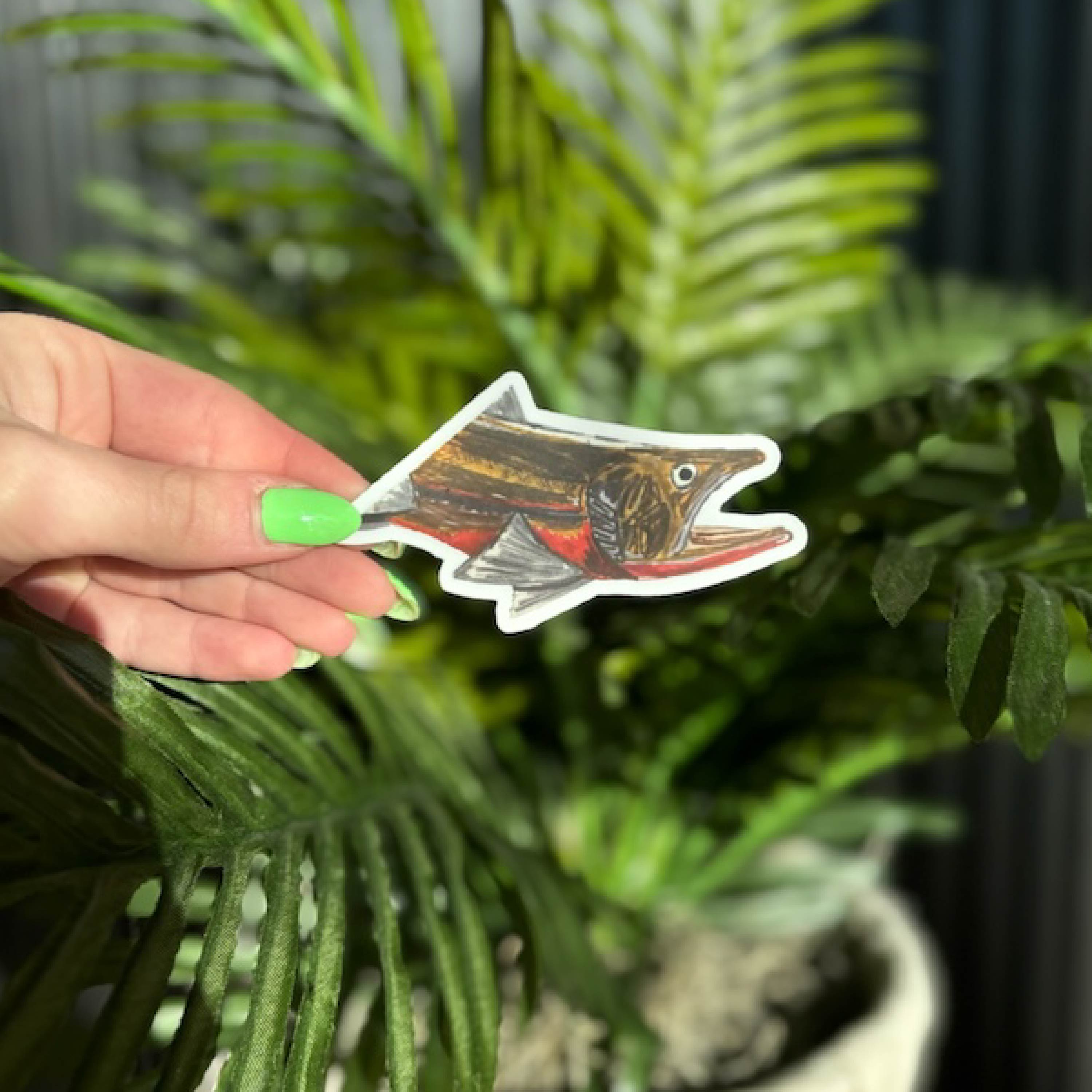 LMSS® STICKER - Cutthroat Trout (Head Only) - Hand Drawn – Little Mama ...